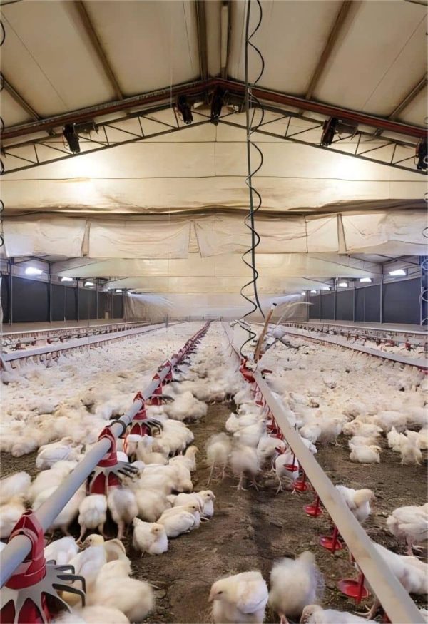 Efficient Poultry Equipment Winches - Reliable Lifting, Corrosion ...