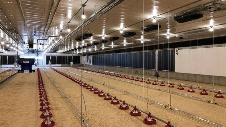 The Ultimate Guide to Modern Poultry Equipment and Winches - KRC